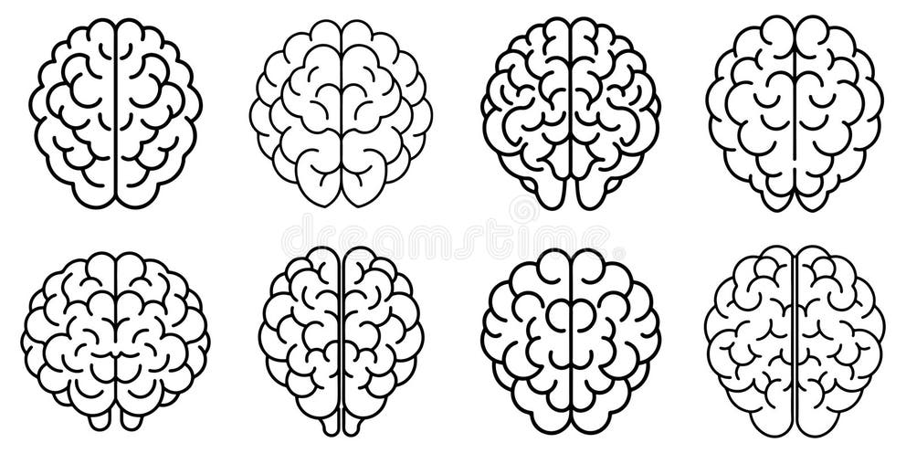 Human Brain Icon Set. Thinking, Mind Refresh Icon Vector Stock Vector ...
