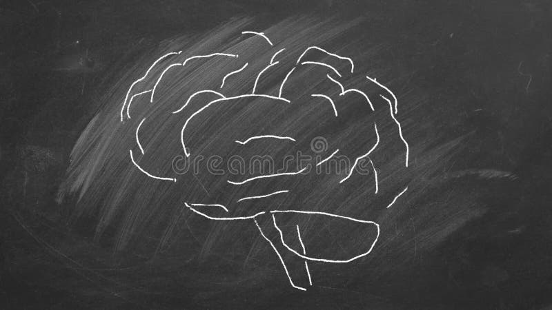 Human Brain. Illustration on Chalkboard Stock Footage - Video of ...