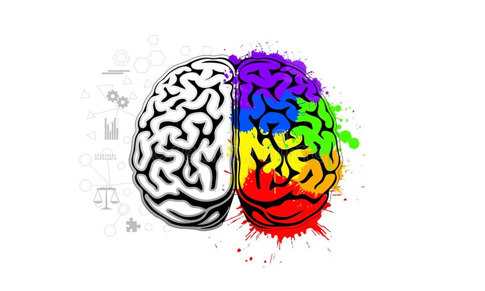Human Brain Illustration for Depicting Creativity and Logic Concept ...
