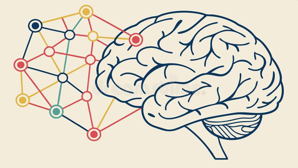 Human Brain Illustration, Neurological Science and Cognitive Function ...