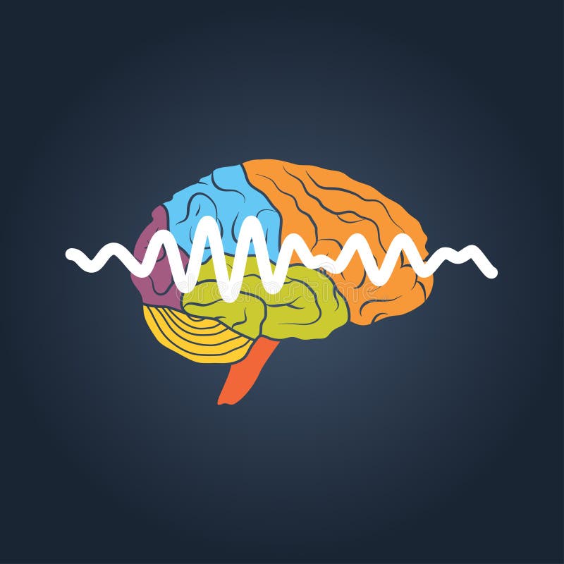 Human brain illustration stock illustration. Illustration of ...