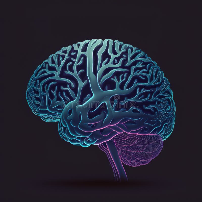 Human Brain Illustrations Design in Vector Art 3d Design Concepts Stock ...