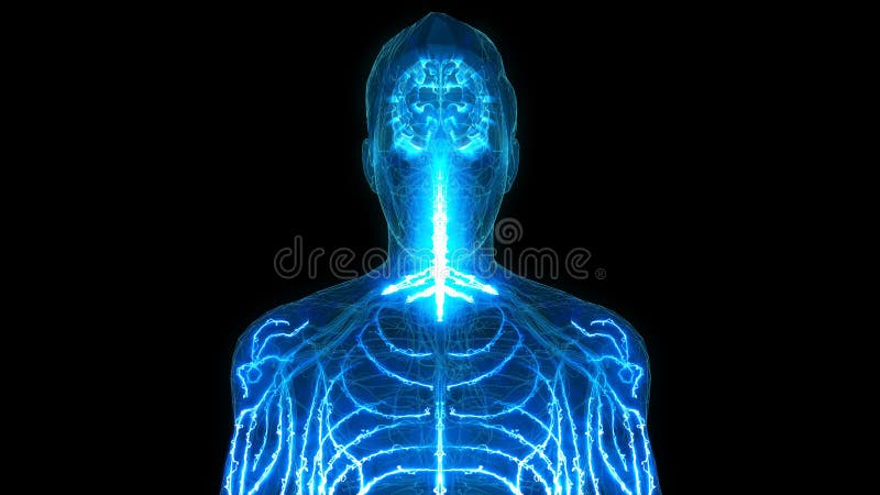 Human Brain with Impulse Transmitting Stock Illustration - Illustration ...