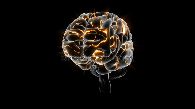 Human Brain with Impulse Transmitting Stock Illustration - Illustration ...