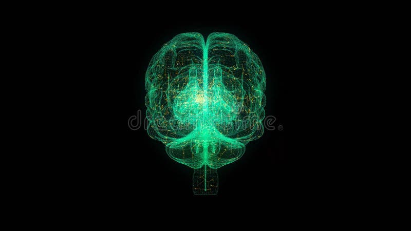 Human Brain with Impulse Transmitting Stock Illustration - Illustration ...