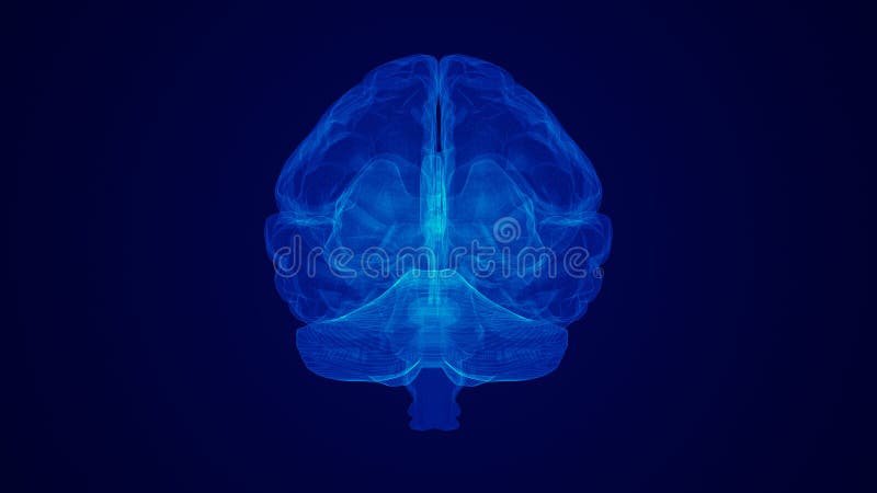 Human Brain Controlling Body Stock Photos - Free & Royalty-Free Stock ...