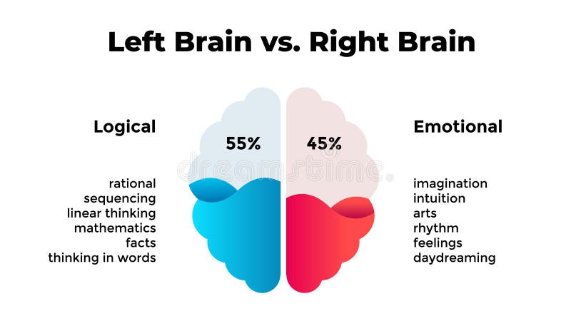 Human Brain Infographic. Left-brained and Right-brained Types of People ...