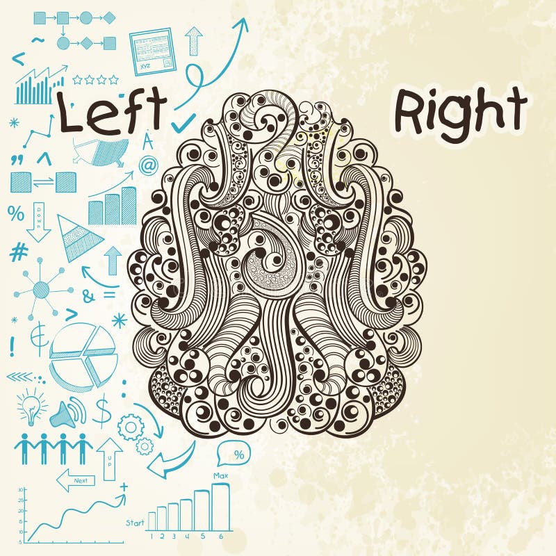 Left and Right Brain stock vector. Illustration of cerebral - 58414900
