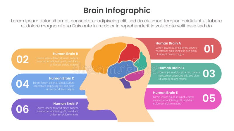 Human Brain Infographic Template Banner with Human Head and Round ...