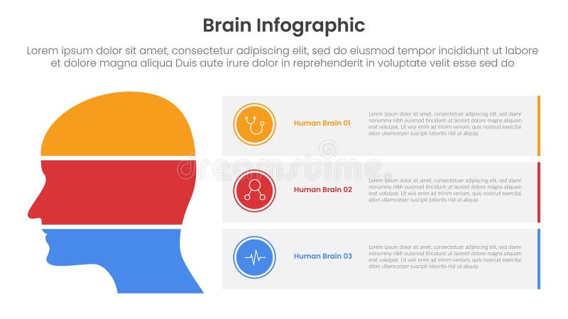 Human Brain Infographic Template Banner with Human Head Slice and ...