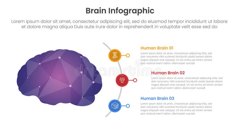 Brain Circle Diagram Stock Illustrations – 3,177 Brain Circle Diagram ...