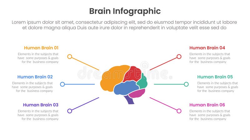 Human Brain Infographic Template Banner with Human Brain Line Pointing ...