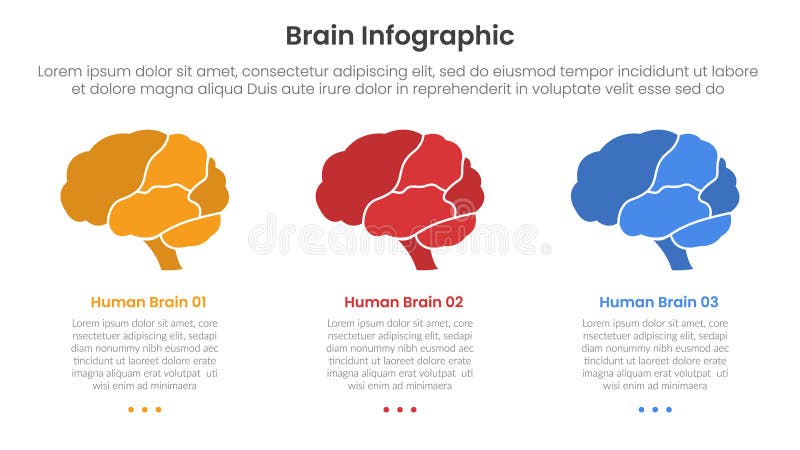 Human Brain Infographic Template Banner with Human Brain Part on ...