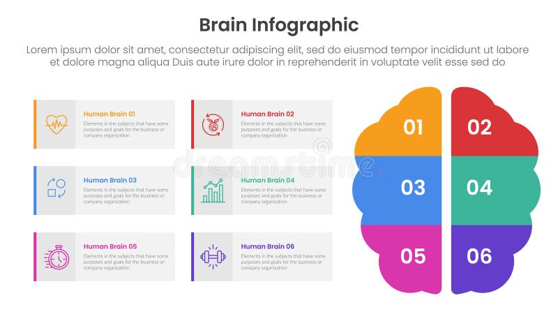 Human Brain Infographic Template Banner with Brain View from Top with ...