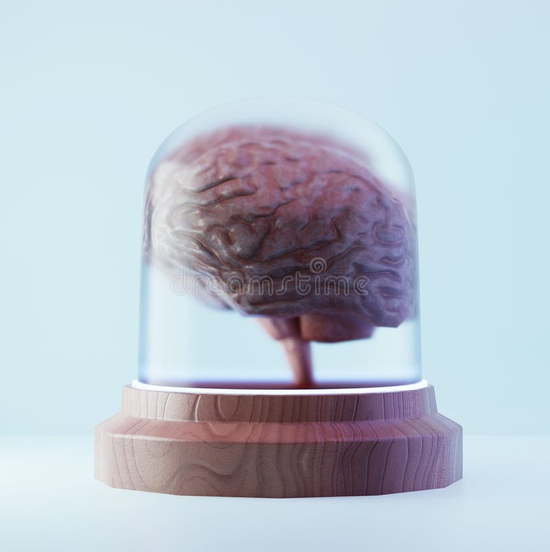 A Human Brain Inside the Bank Stock Illustration - Illustration of ...