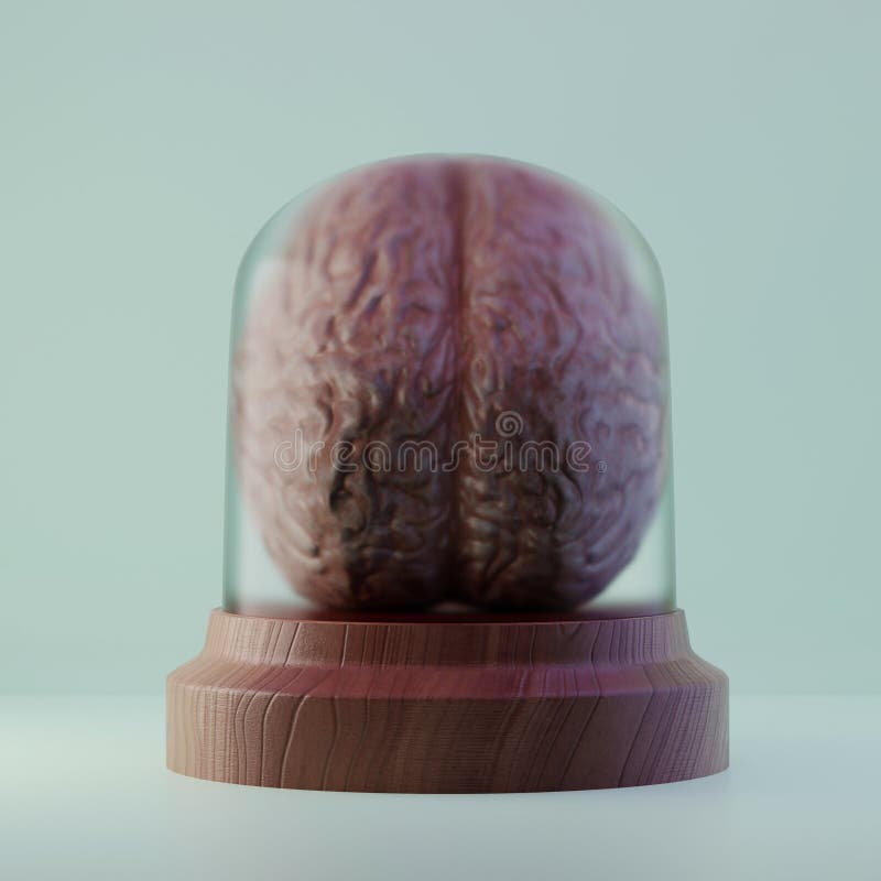 A Human Brain Inside the Glass Bank Stock Illustration - Illustration ...