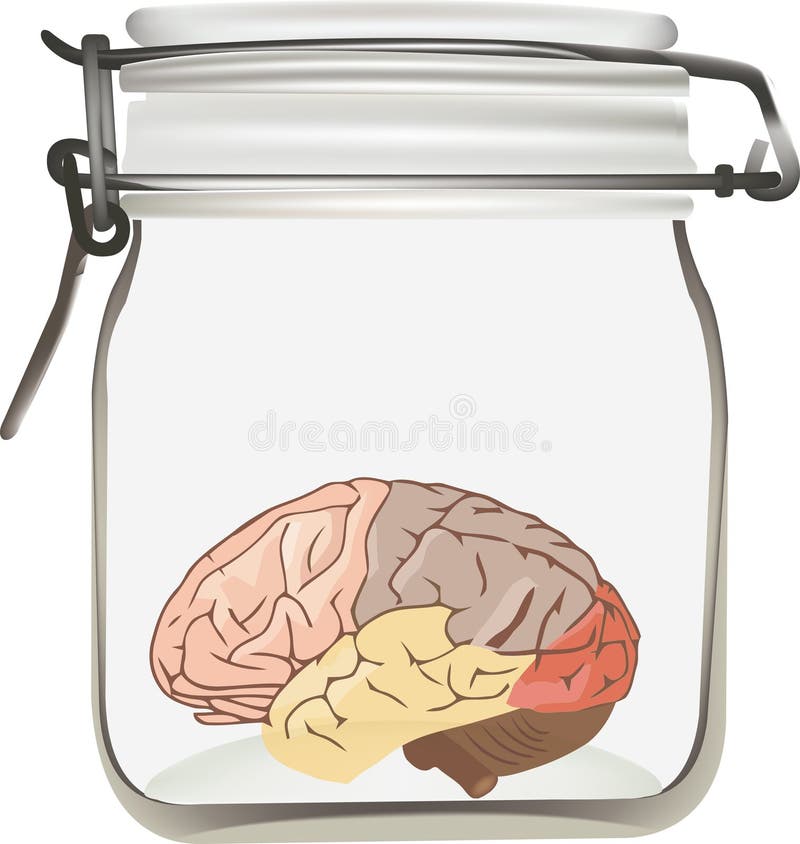 Human Brain Jar Stock Illustrations – 136 Human Brain Jar Stock ...