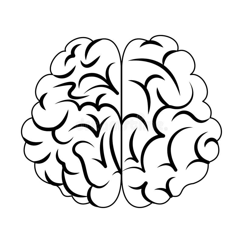 Human Brain Intelligence Symbol Isolated in Black and White Stock ...