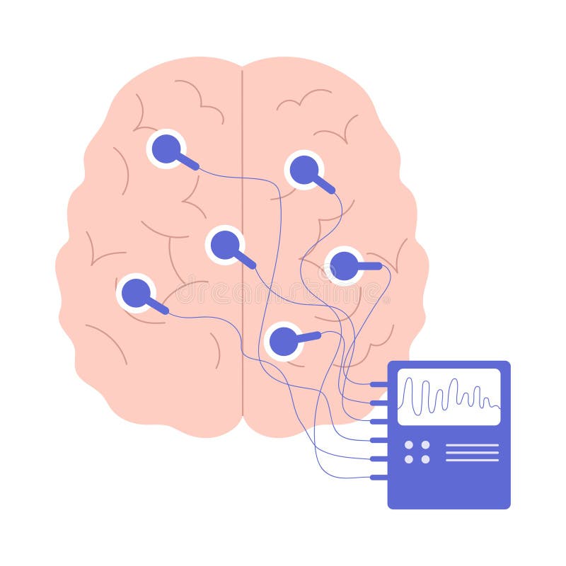 Human Brain Internal Organ Study and Research Vector Illustration Stock ...