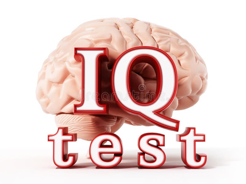 Human Brain and IQ Test Text Isolated on White Background. 3D ...