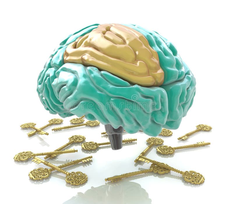 Human Brain Keys Stock Illustrations – 81 Human Brain Keys Stock ...