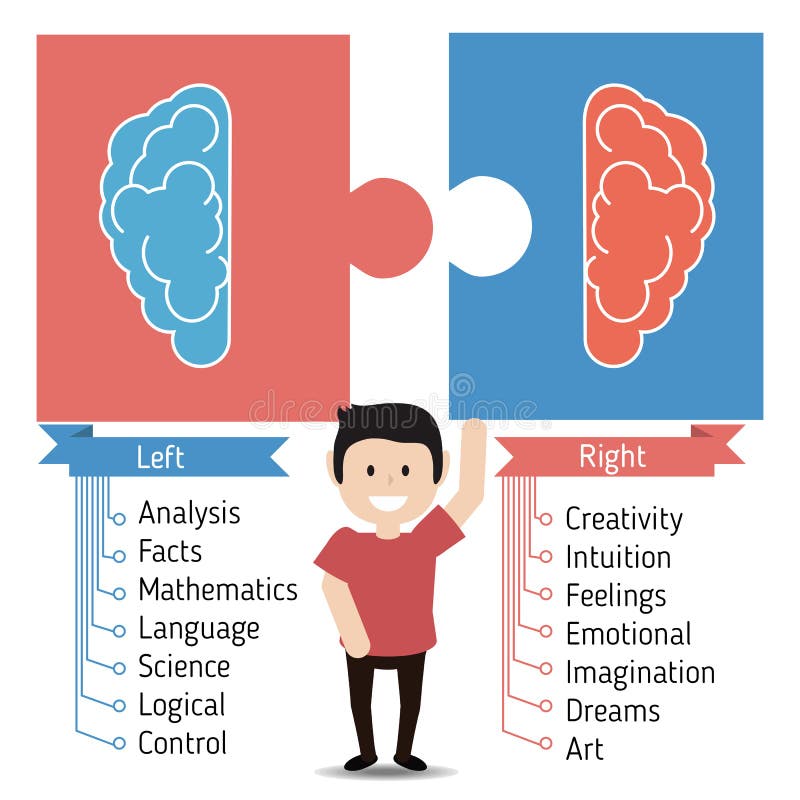Left and Right Brain Functions Concept Stock Vector - Illustration of ...