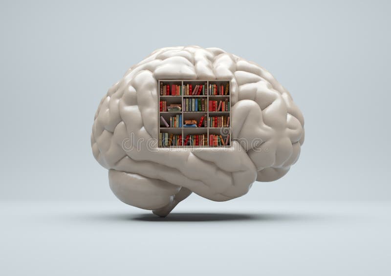 Human Brain with a Library Inside and Books Stock Illustration ...