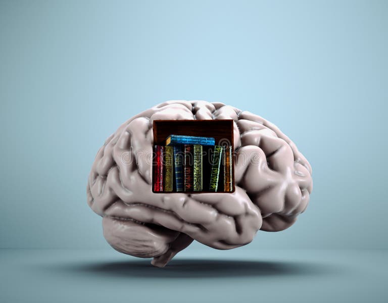 Human Brain with a Library Inside and Books Stock Illustration ...