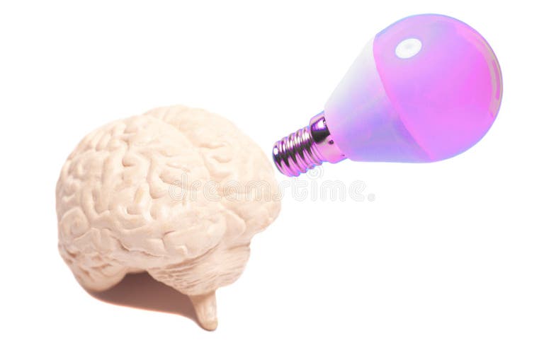 Human Brain with Light Bulb Stock Image - Image of planning, lobes ...