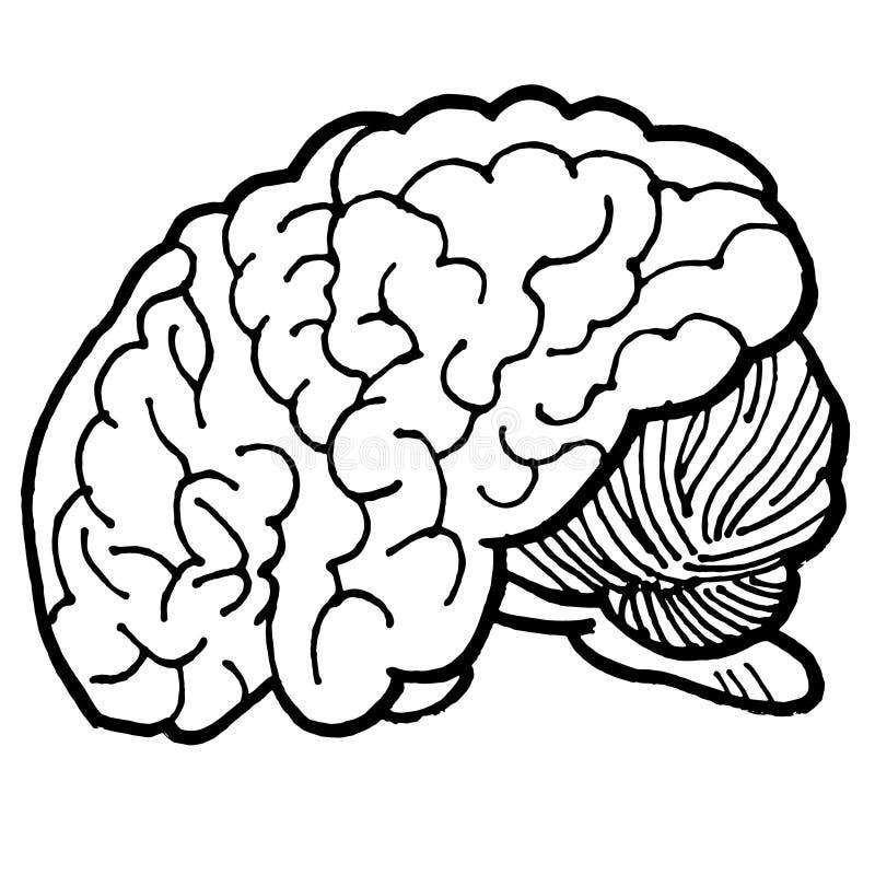 Brain Template Printable