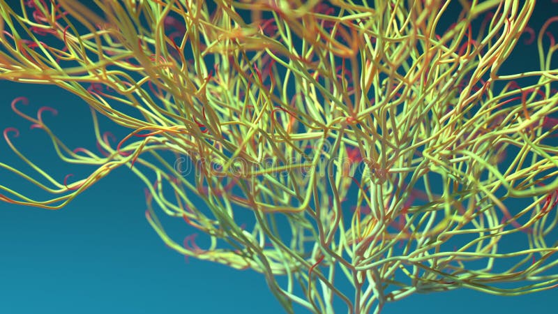 Human Brain Made Out of Lines, Unrolling Animation. Brain Medical ...