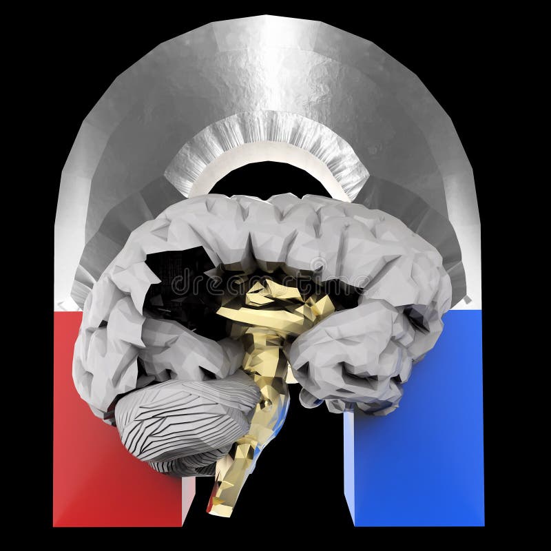 Magnet Brain Stock Illustrations – 758 Magnet Brain Stock Illustrations ...