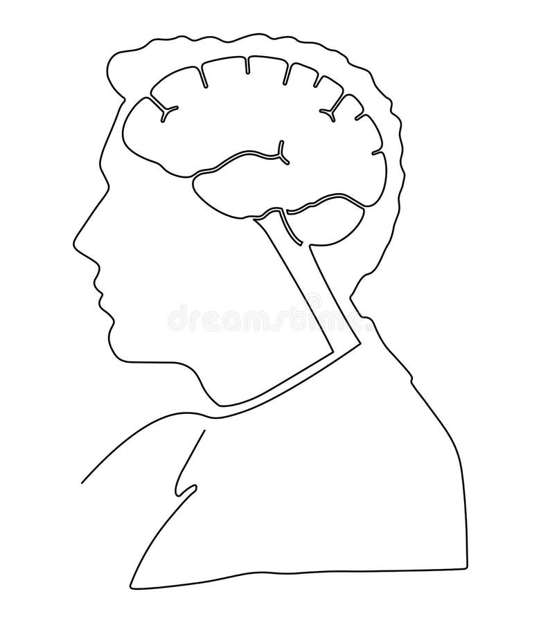 Human Brain in Man Profile View Left. Continuous Line Drawing Stock ...
