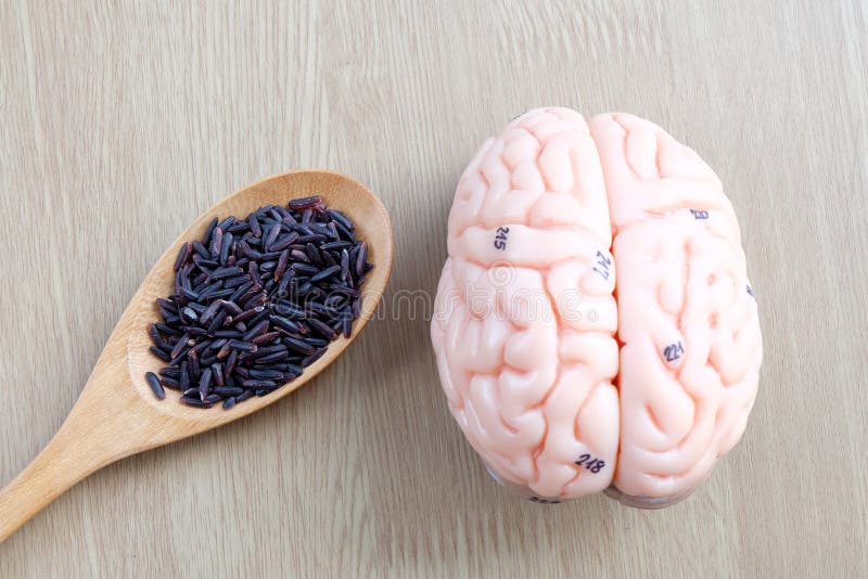 Rice Anatomy Stock Photos - Free & Royalty-Free Stock Photos from ...