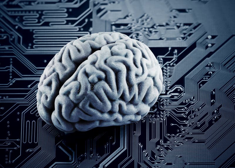 Human Brain on Computer Circuit Board Stock Photo - Image of intellect ...