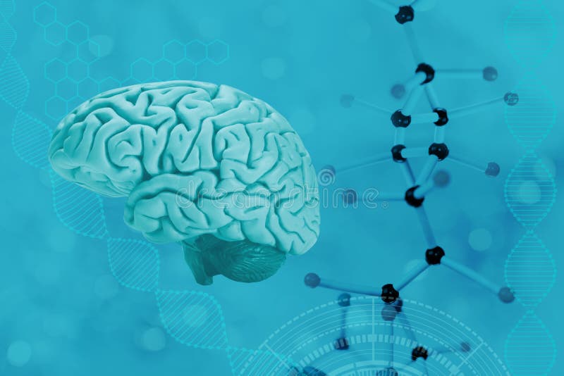 Human Brain Model, Deoxyribonucleic Acid, Molecular Compounds on a Blue ...