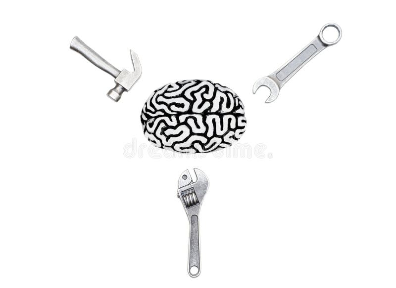 Human Brain Model with Hand Tools Isolated on White Stock Image - Image ...