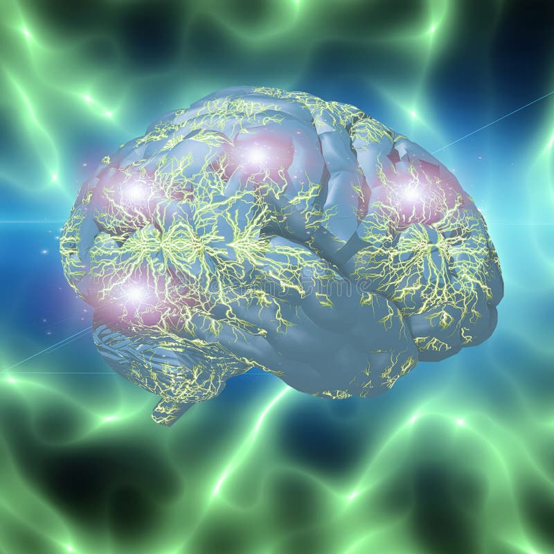 Human brain model stock illustration. Illustration of human - 249314632