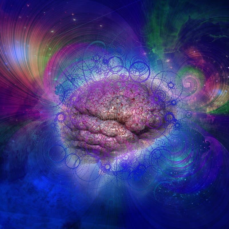 Human brain model stock illustration. Illustration of brain - 262533971