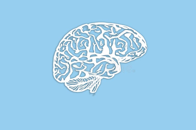 Human Brain Model on Light Blue Background, Concept of Level of Mind ...