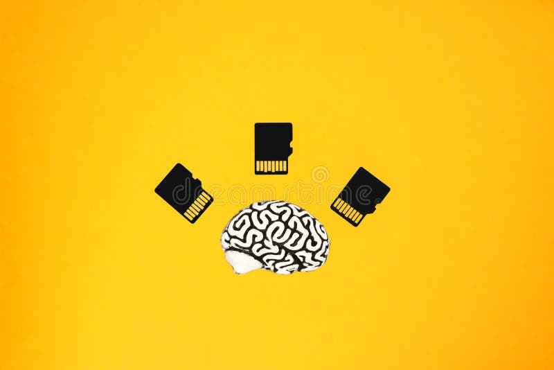 Human Brain Memory Storage Stock Photos - Free & Royalty-Free Stock ...
