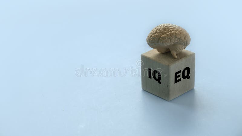 Human Brain Model Over a Wooden Cube Written with EQ and IQ Stock Photo ...