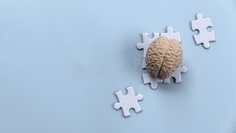 Human Brain Model on Scattered Jigsaw Puzzle Pieces Stock Image - Image ...