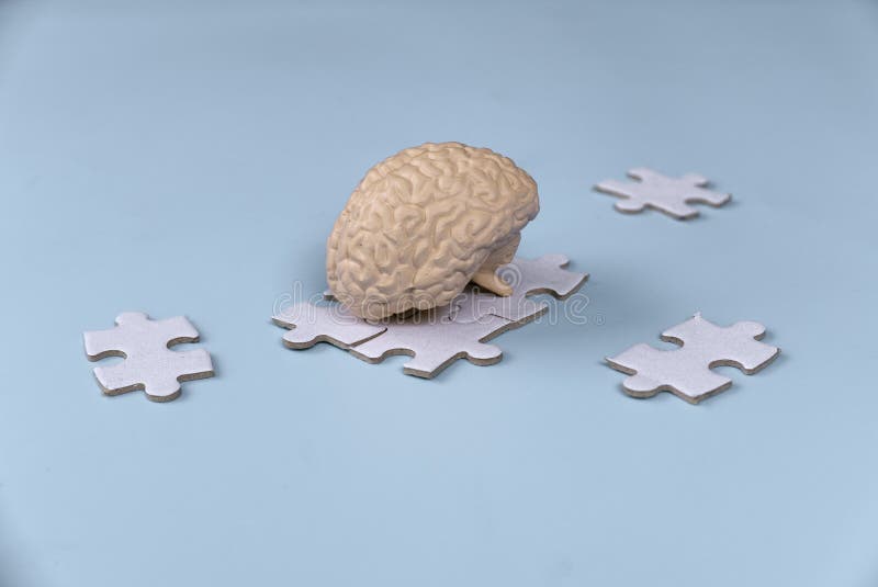 Human Brain Model on Scattered Jigsaw Puzzle Pieces Stock Photo - Image ...