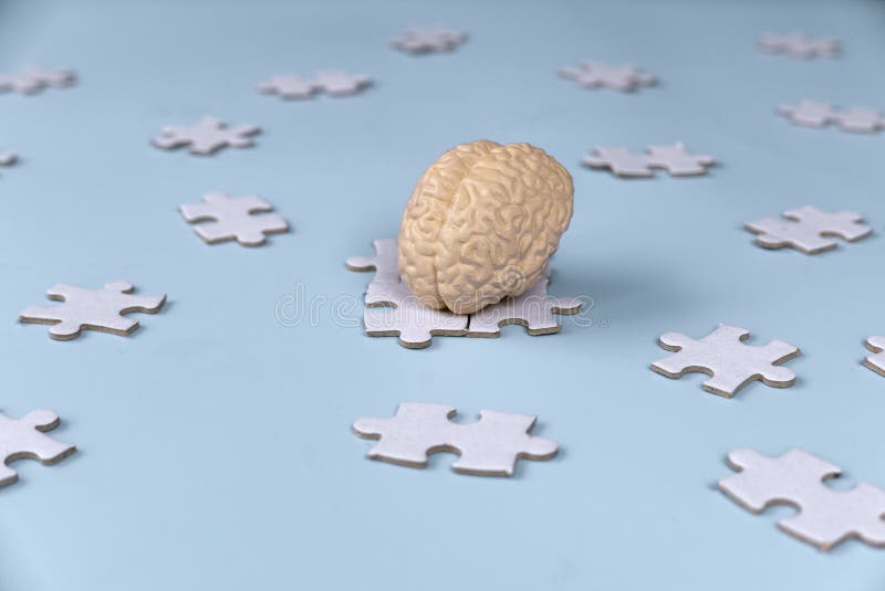 Human Brain Model on Scattered Jigsaw Puzzle Pieces Stock Photo - Image ...