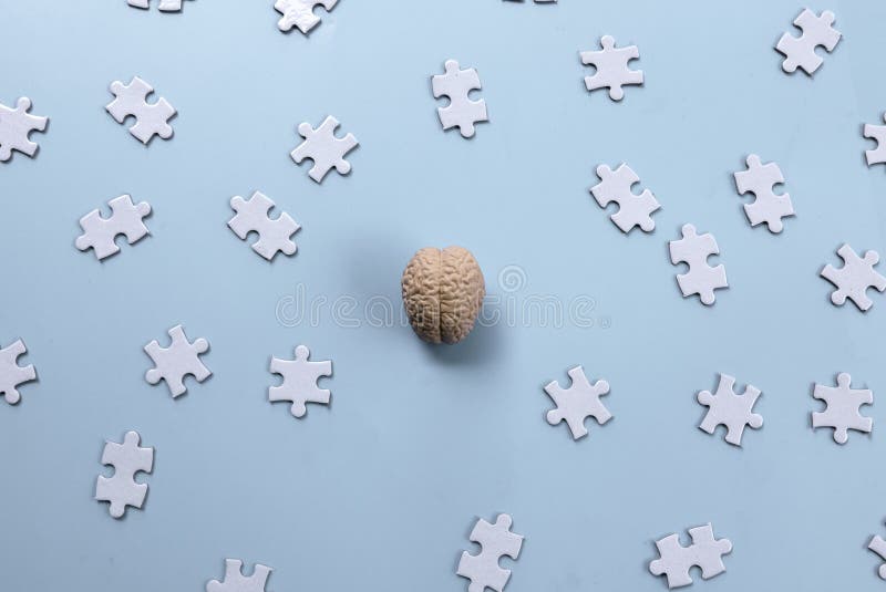 Human Brain Model on Scattered Jigsaw Puzzle Pieces Stock Photo - Image ...