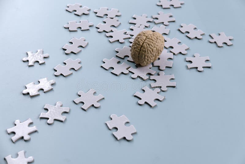 Human Brain Model on Scattered Jigsaw Puzzle Pieces Stock Photo - Image ...