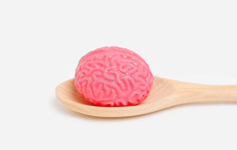 Human Brain Model Set On A Wooden Spoon Stock Image Image Of Eating