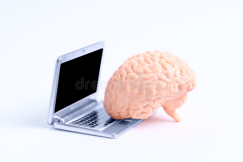 Human Brain Model Using a Miniature Laptop Replica Stock Photo - Image ...