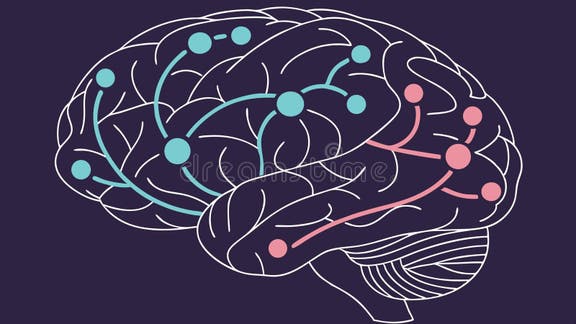 Human Brain Network, Neural Connections and Mind Map Design. Vector ...